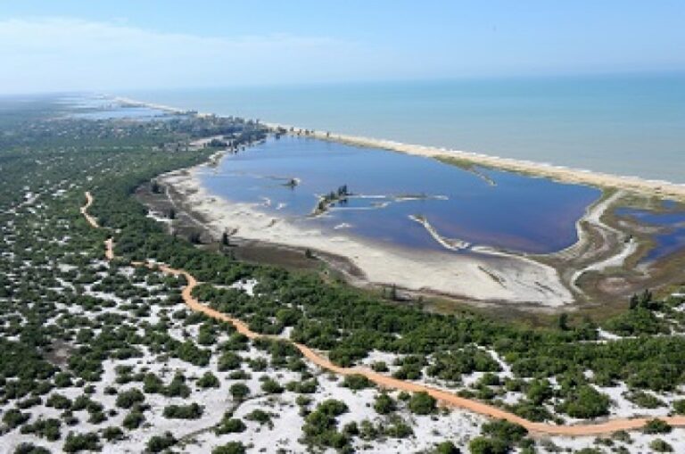 Quissamã quer ampliar parceria com Parque Nacional de Jurubatiba ...